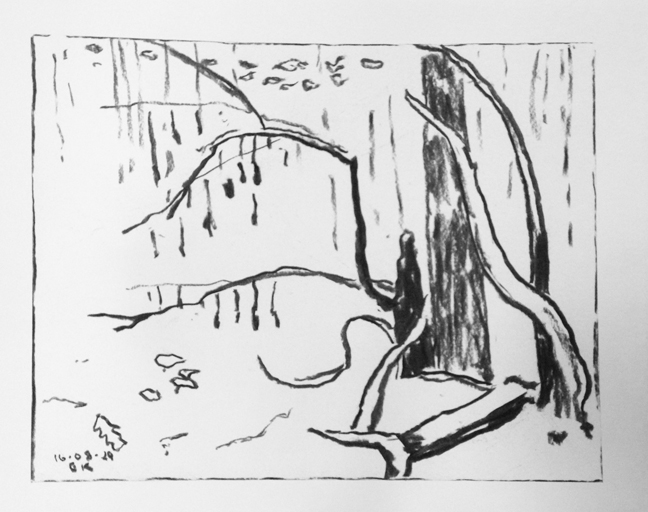 Forest Drawings – 27th Street